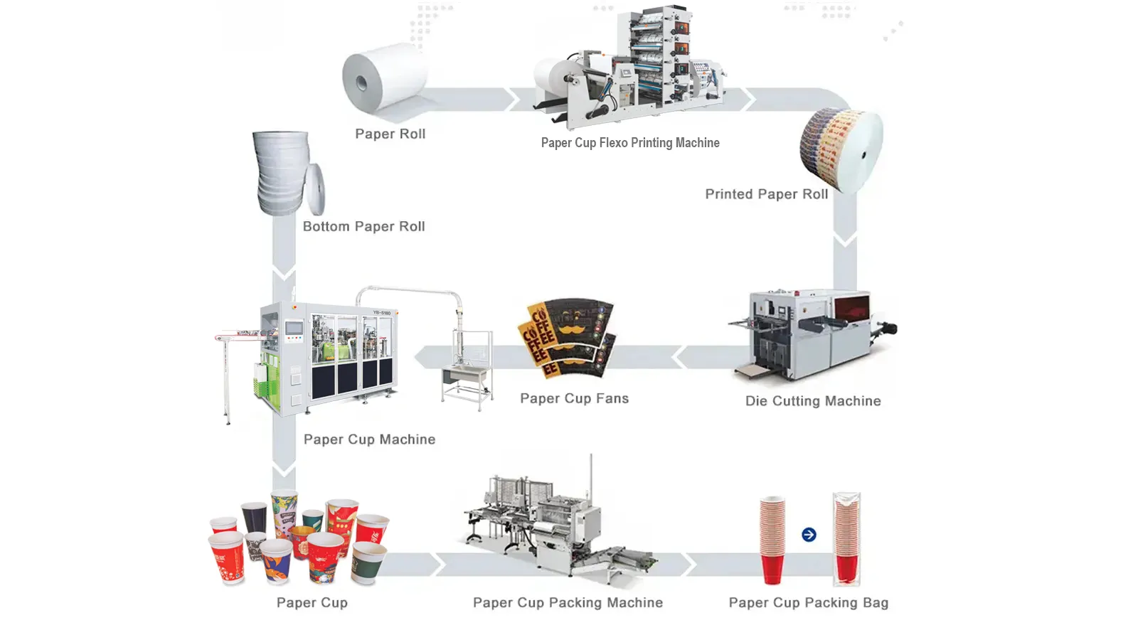 Is Paper Cup Business Profitable in 2026? Cost & Profit Margin Analysis